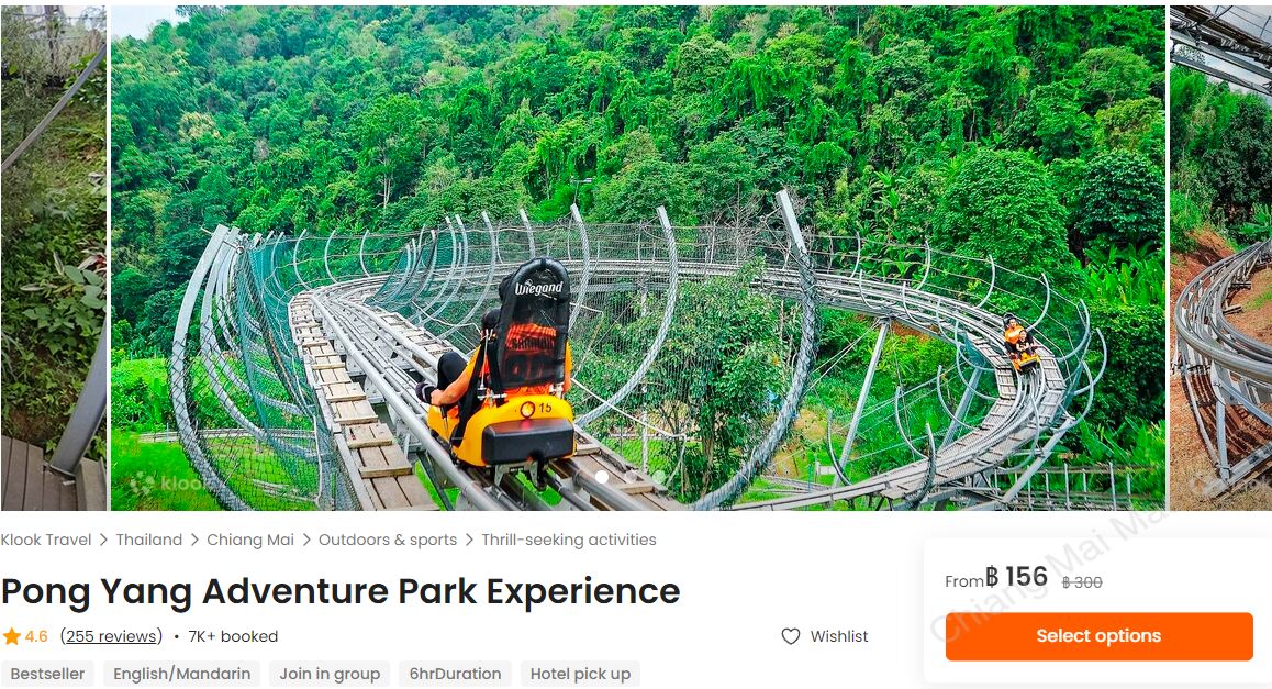 Pong Yaeng Jungle Coaster & Zipline :: Chiang Mai Master