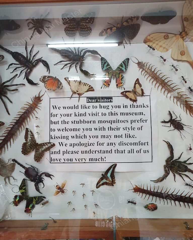The Museum of World Insects and Natural Wonders :: Chiang Mai Master