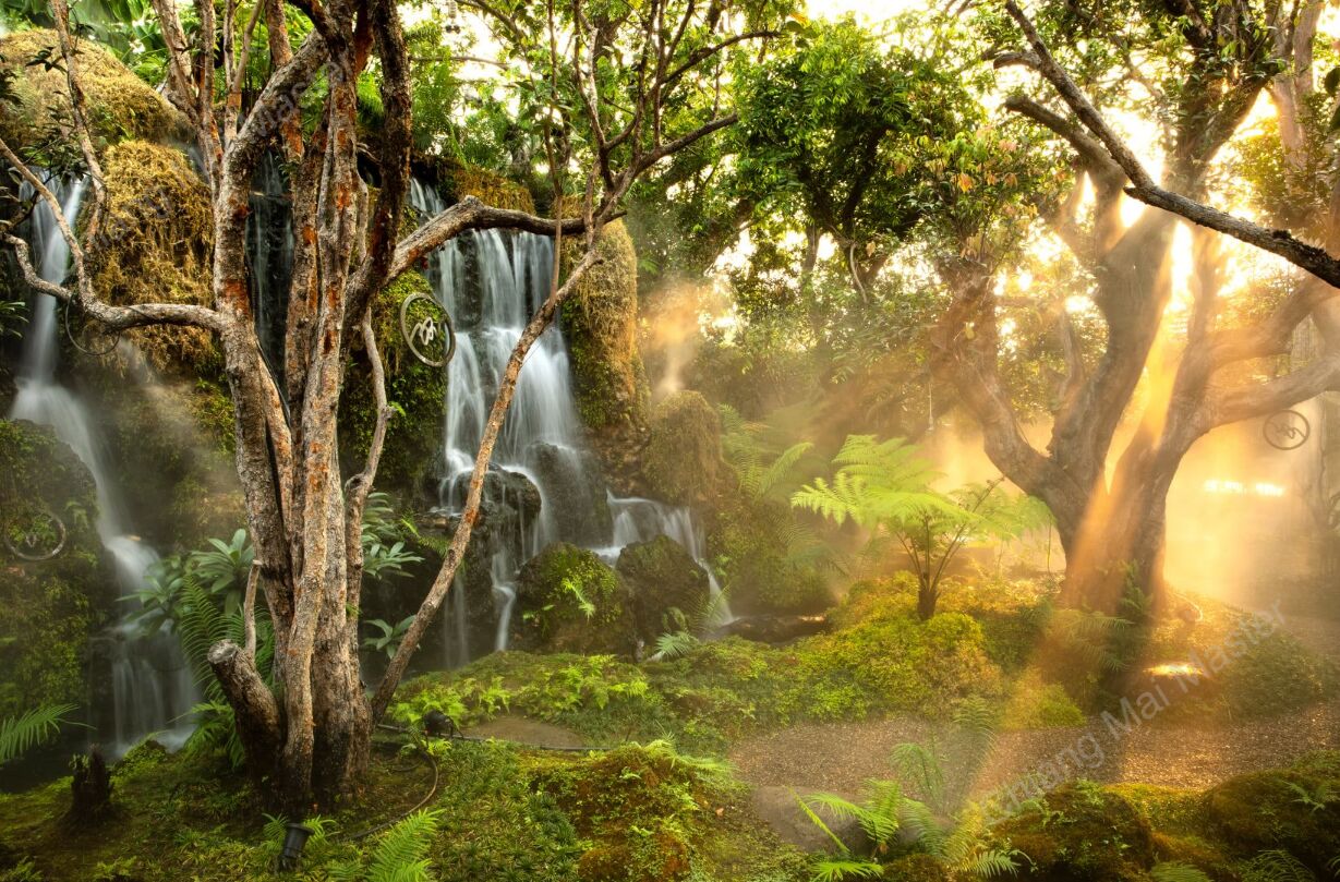 Chom Cafe and Restaurant :: Chiang Mai Master