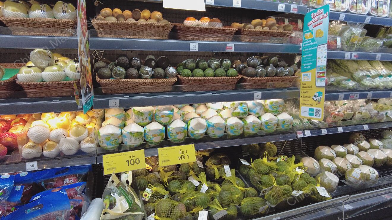 Lotus’s Kham Thiang :: Chiang Mai Master