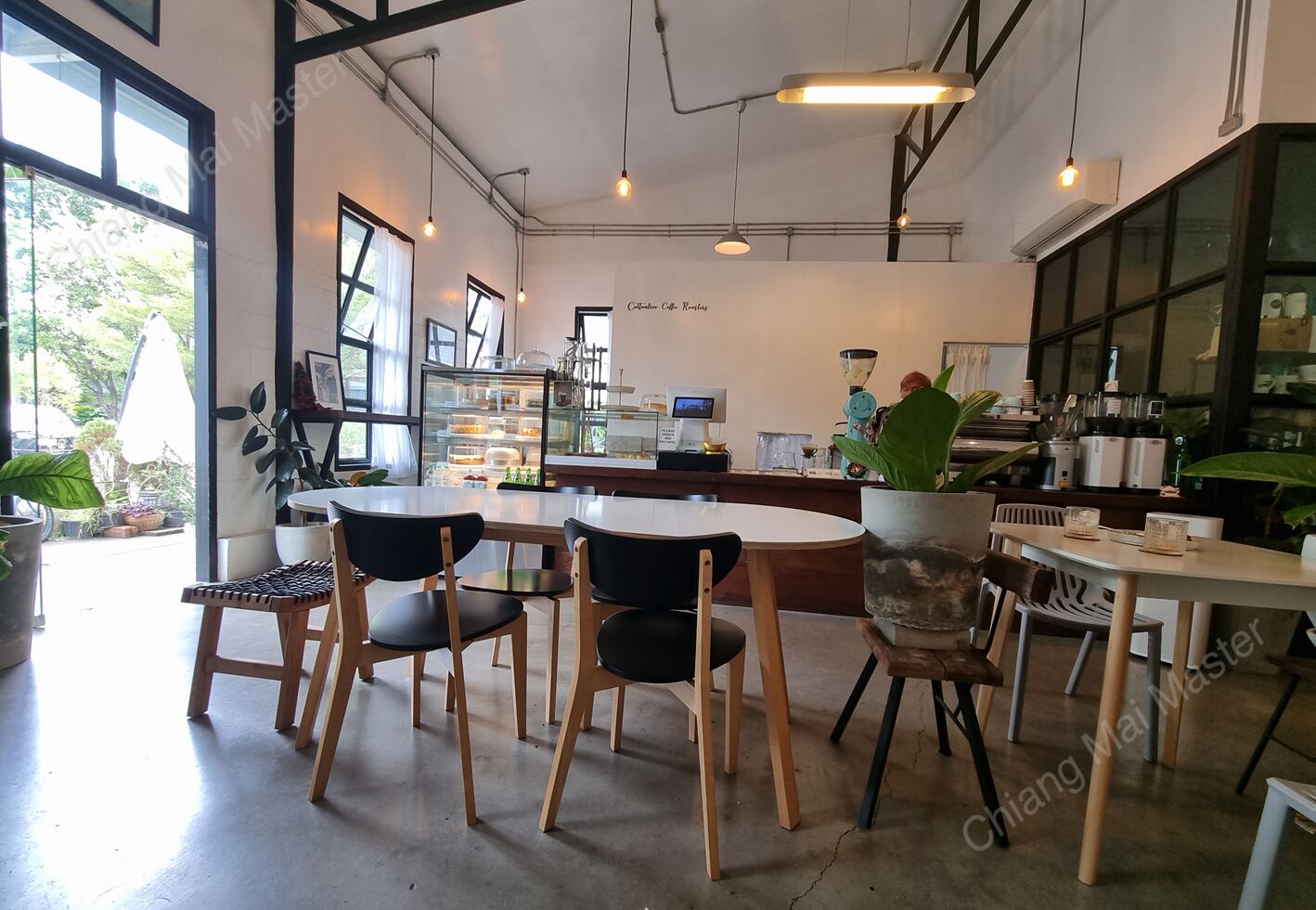 Cottontree Coffee Roasters :: Chiang Mai Master